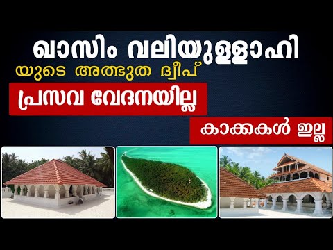 കാക്കകളും പ്രസവ വേദനയും ഇല്ലാത്ത ദ്വീപ് | ഖാസിം വലിയുള്ളാഹിയുടെ കറാമത്ത്  | Qaf Media