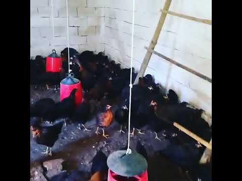 Yarka alırken dikkat edilmesi