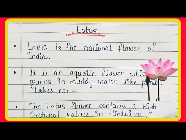 Short Essay On Lotus Flower | Best Flower Site