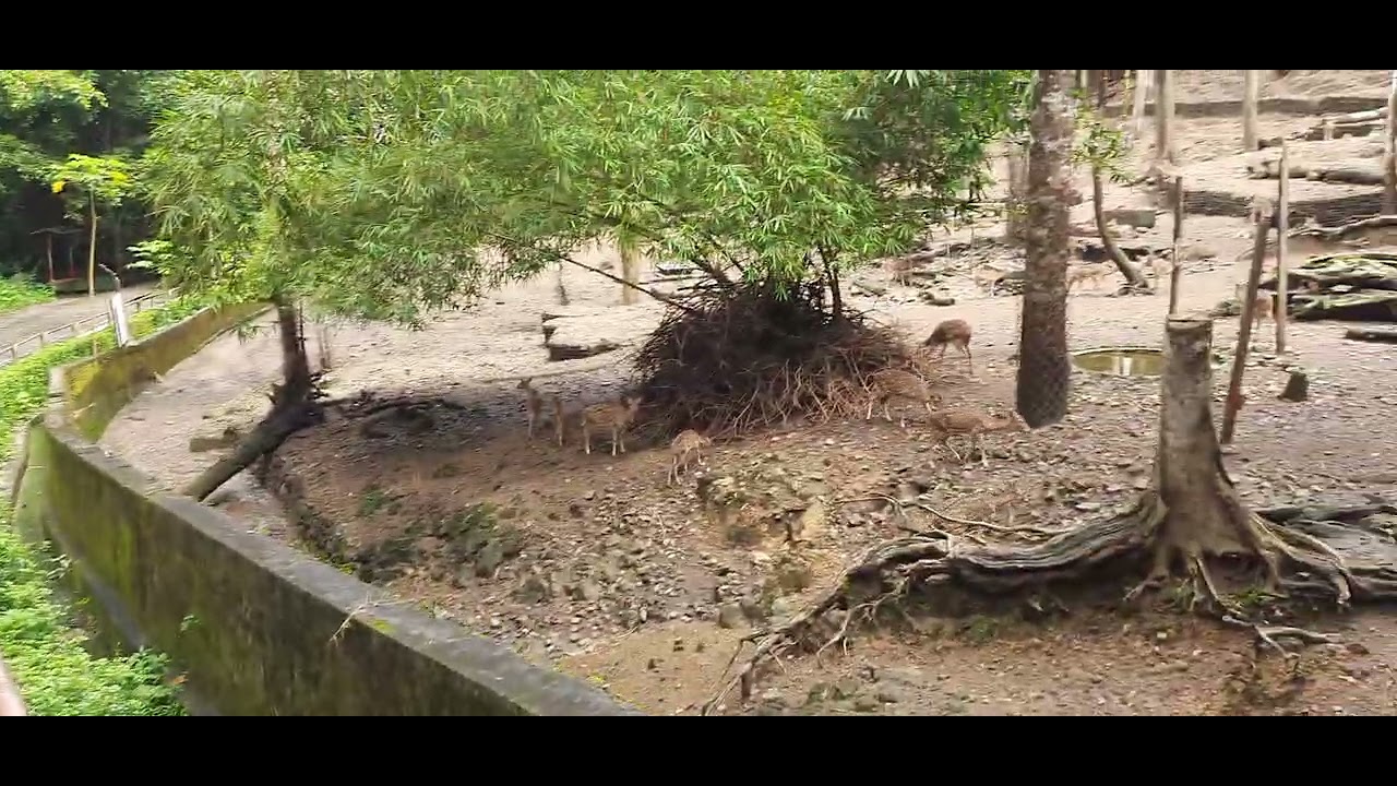 Tiyari Mailuma at Andaman - YouTube