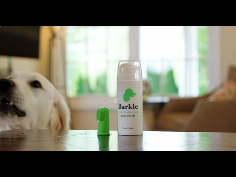 Commercial Video Production | Barkle Canine Oral Gel's Product Video ...