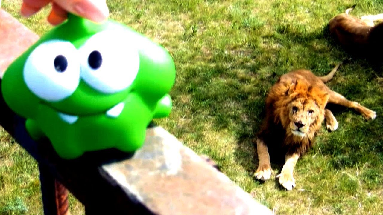 Om Nom in the zoo for kids. Animals for kids. Videos for kids - YouTube
