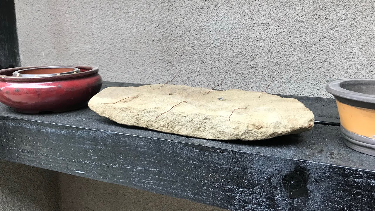 How to create a stone bonsai slab - YouTube