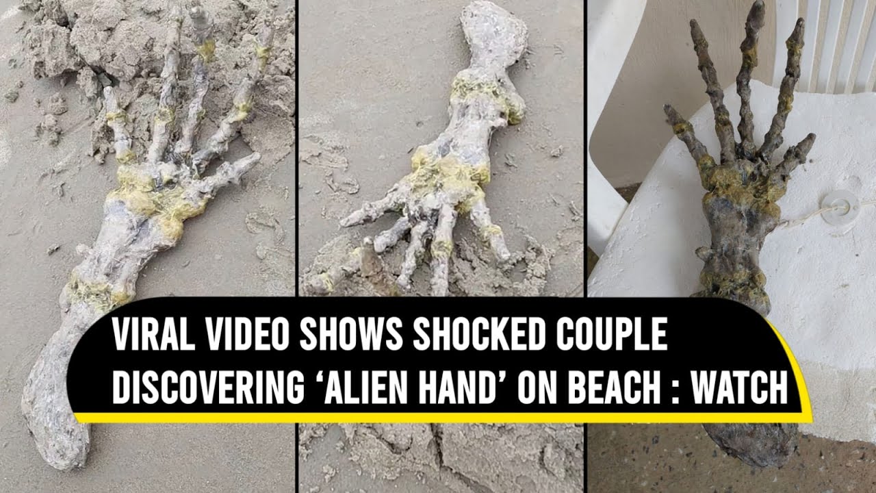 Shocked couple discovers ‘alien hand’ on beach in Brazil | Viral Video ...