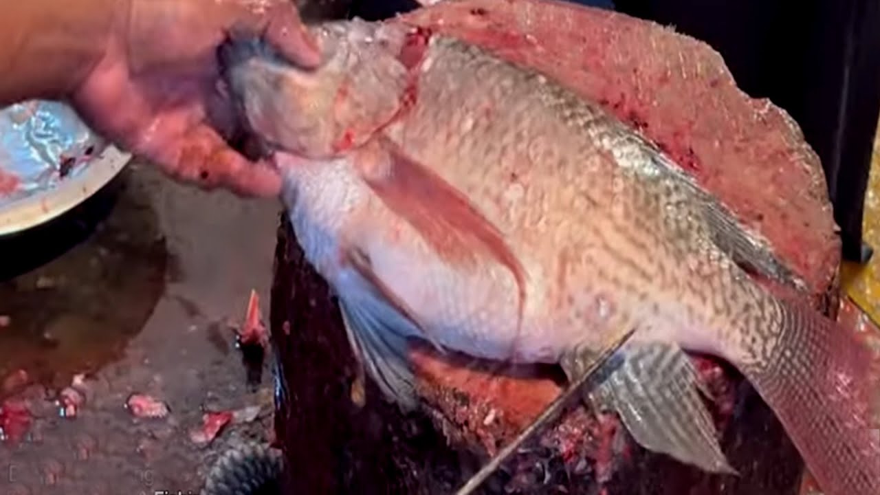 Huge tilapia fish cutting skill 03 || #FishCuttingMarket - YouTube