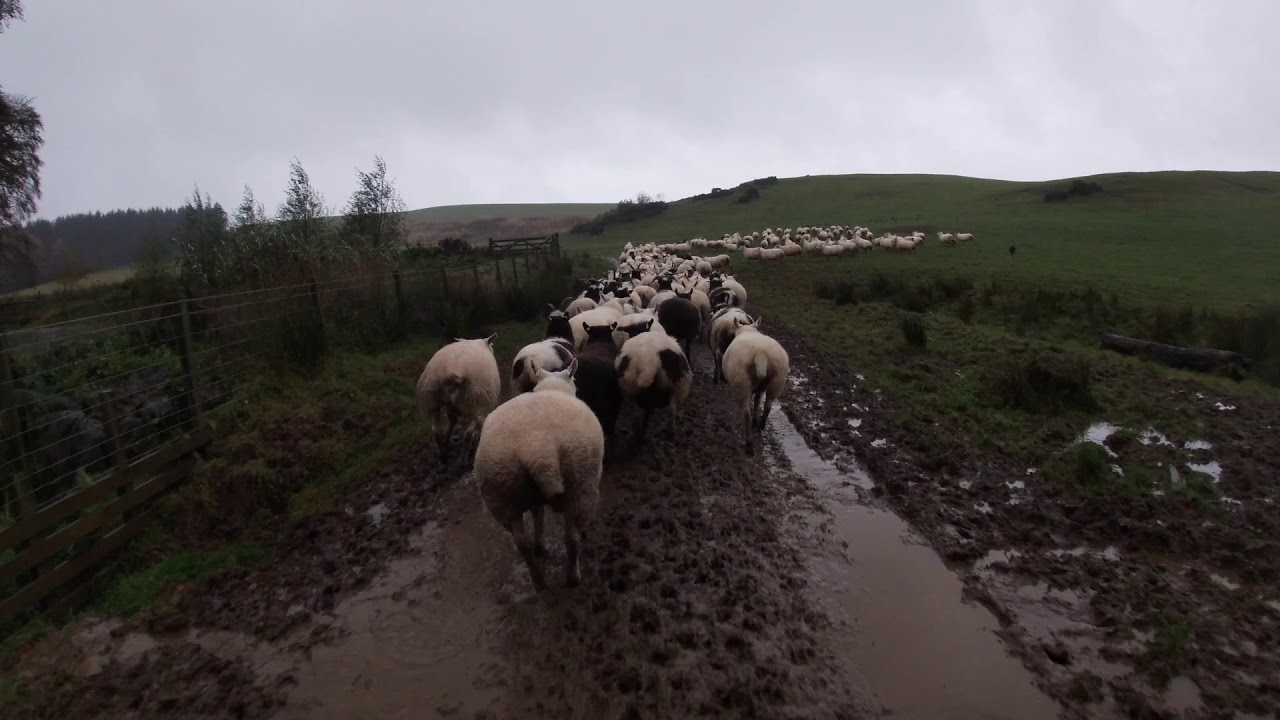 Another Wet Day YouTube another-wet-day-youtube