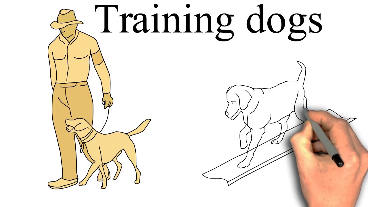 Drawing for Children | How to draw training dogs - YouTube
