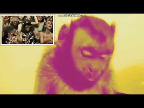 tayfun yılmaz en komik hayvan vineaları