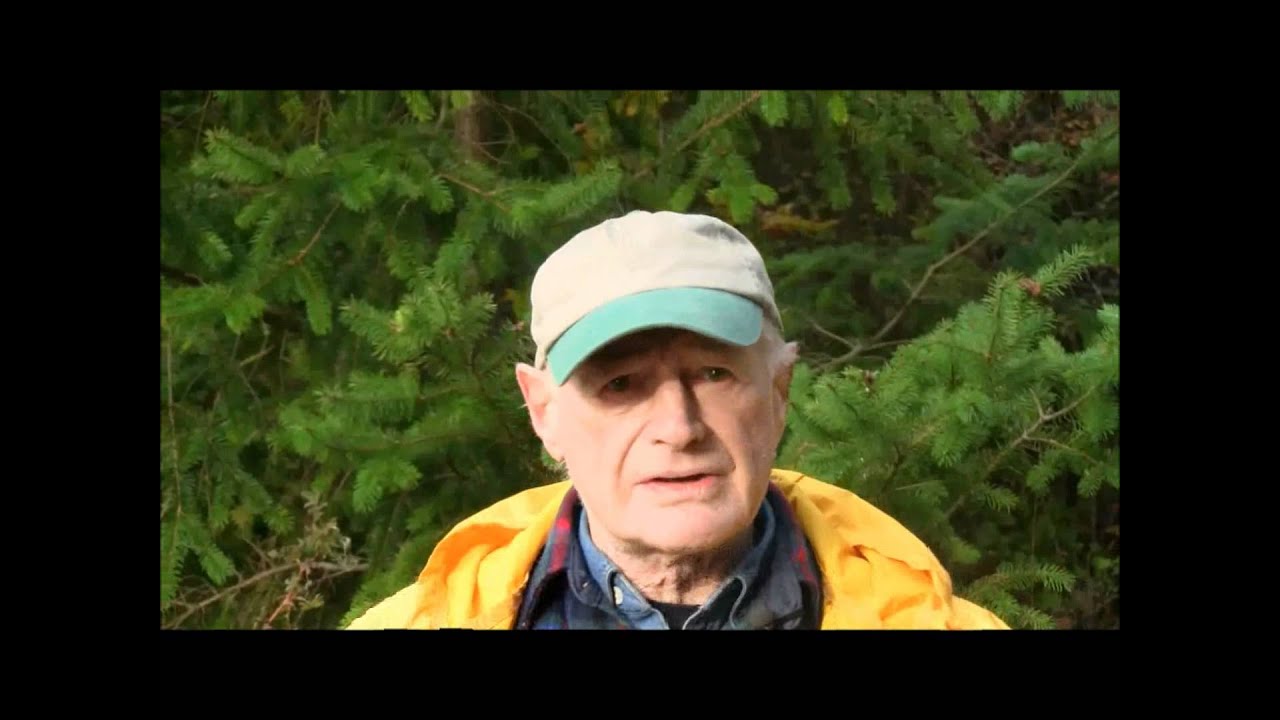 Dr Michael Cohen - What is unique about the way you practice ...