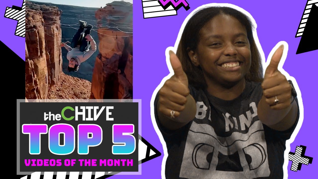 We're Back With The BEST Video Clips of All Time (this month) - YouTube
