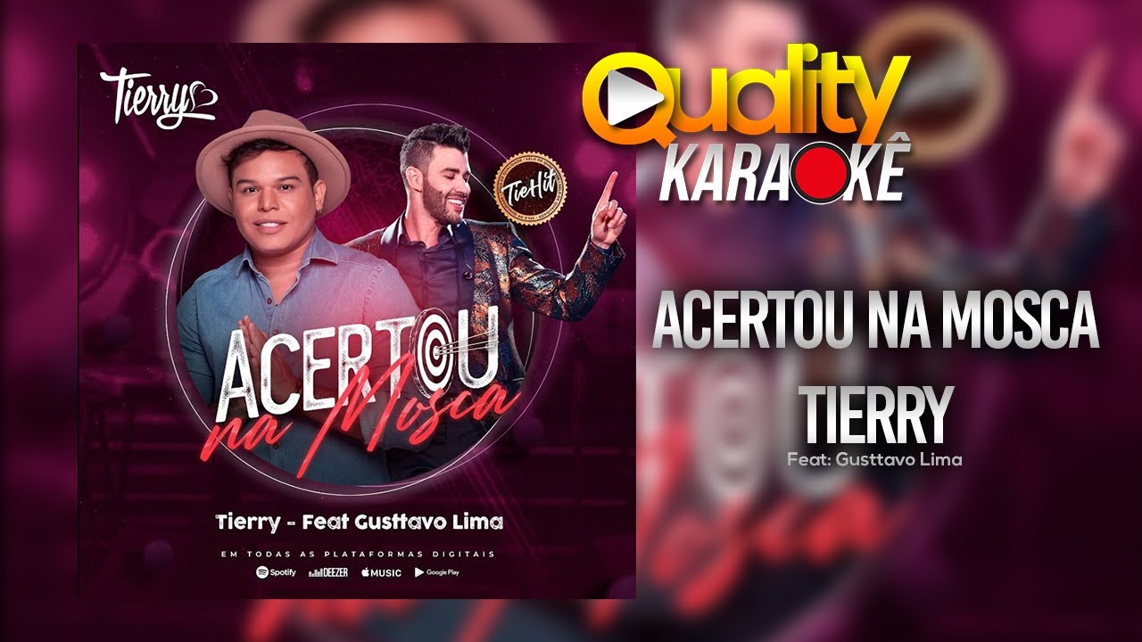 Tierry - Acertou na Mosca - Karaokê - YouTube