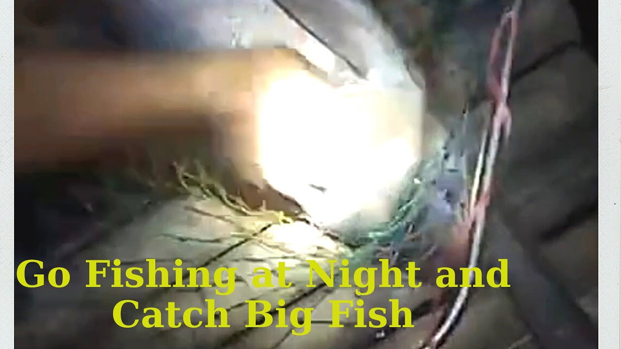 Fishing angler.Night Fishing Part 1.fishing.Fishing on the dike slope ...