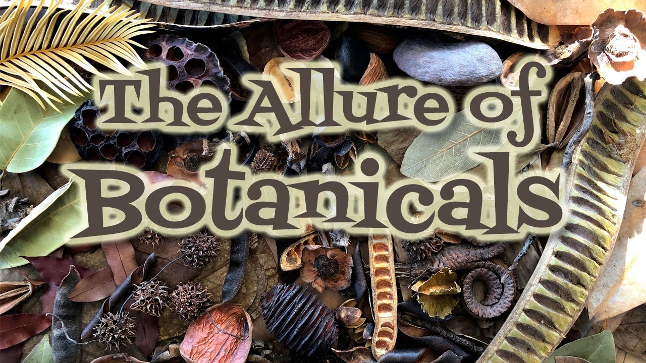 Nature Inspired: Using Botanicals in your Home Aquarium #themadaquarist ...