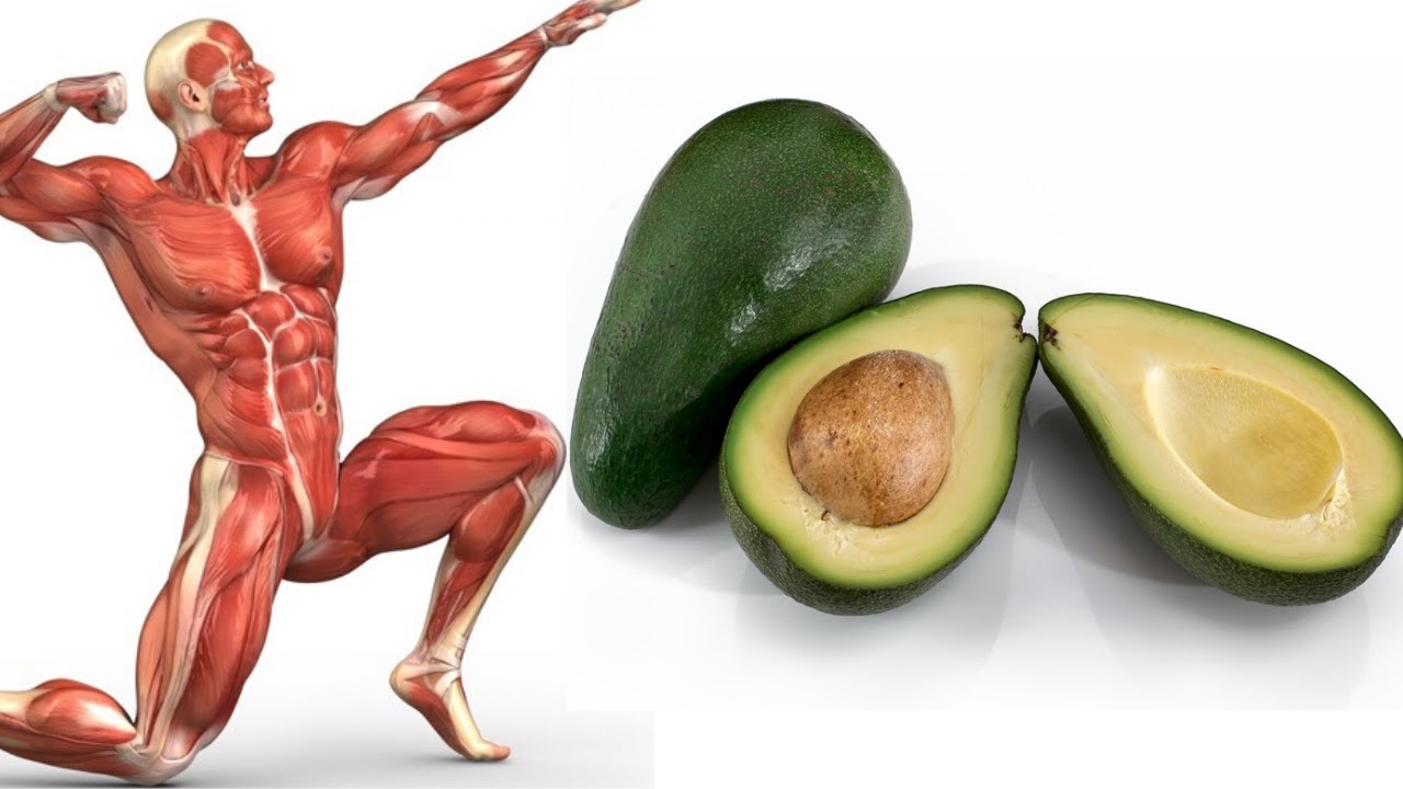 The Hiding Truth About Avocado - YouTube