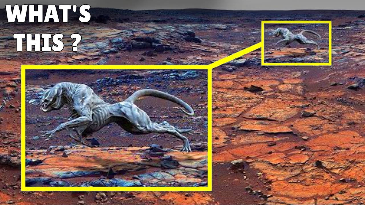 Scariest New Discovery On Mars That NASA Can’t Explain! - YouTube
