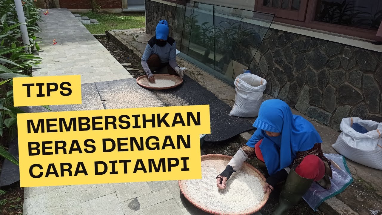 Tips Cara Membersihkan Beras Dengan Cara di Tampi Untuk Pemula - YouTube