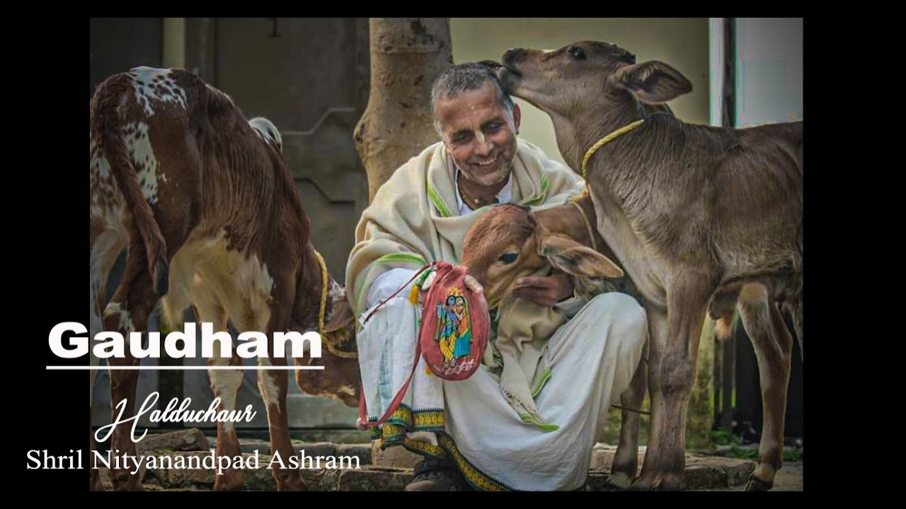 गौ धाम हल्दूचौड (Gaudham Halduchaur ) || Shril Nityanandpad Ashram ...