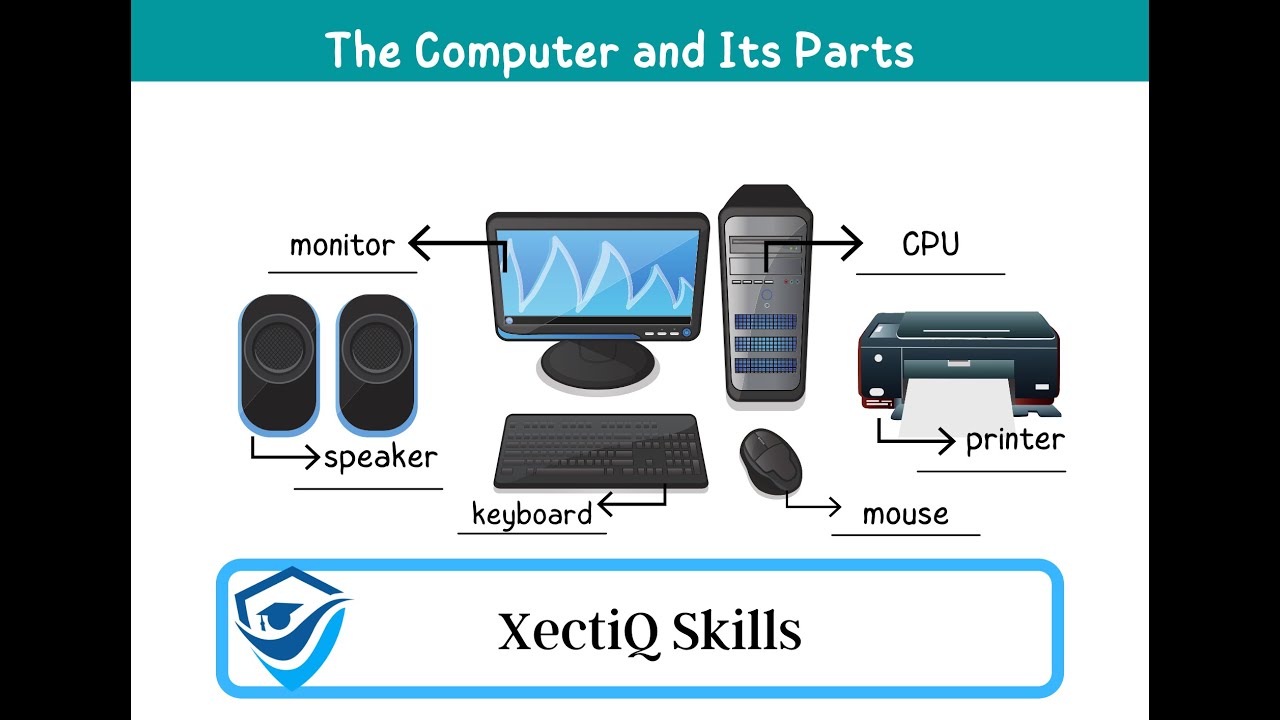 Exploring the Essential Parts of a Computer: Parts of Computer @Xectiq ...