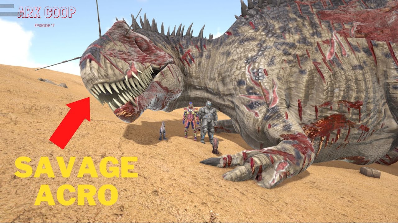 ON FAIT LE SAVAGE ACRO/ark coop épisode 17 - YouTube