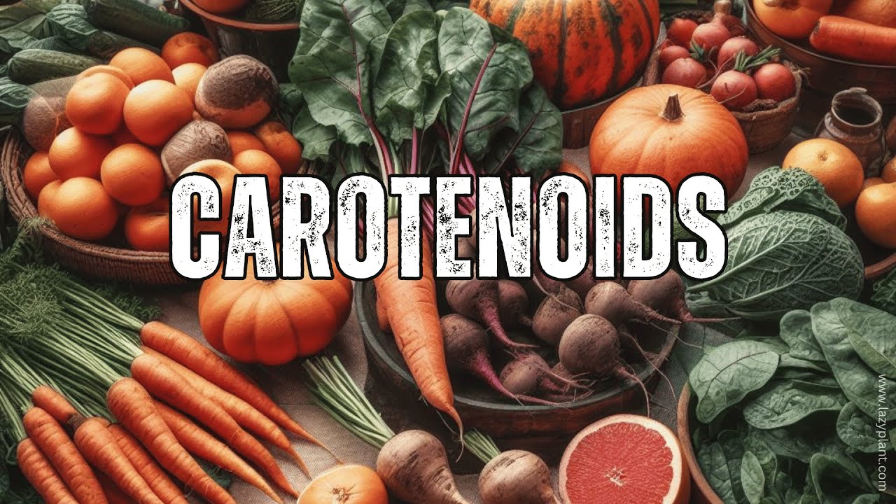 Carrot isn't the richest food in Carotenoids! - YouTube