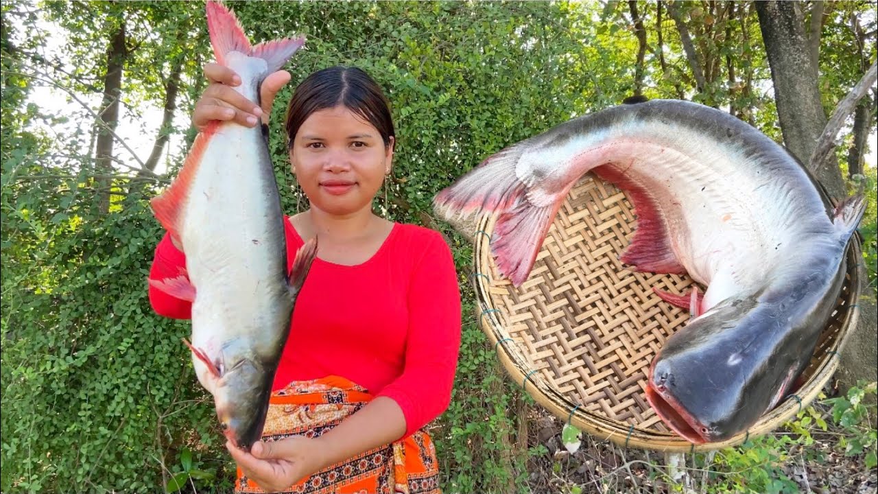 catch fish yes 2kg And go into the forest to find everything roast fish ...