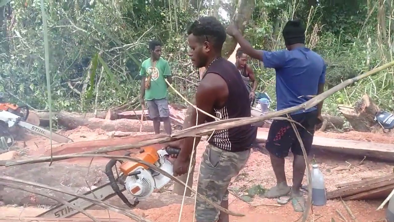 orang PAPUA sensor kayu (Lani Mendek) - YouTube