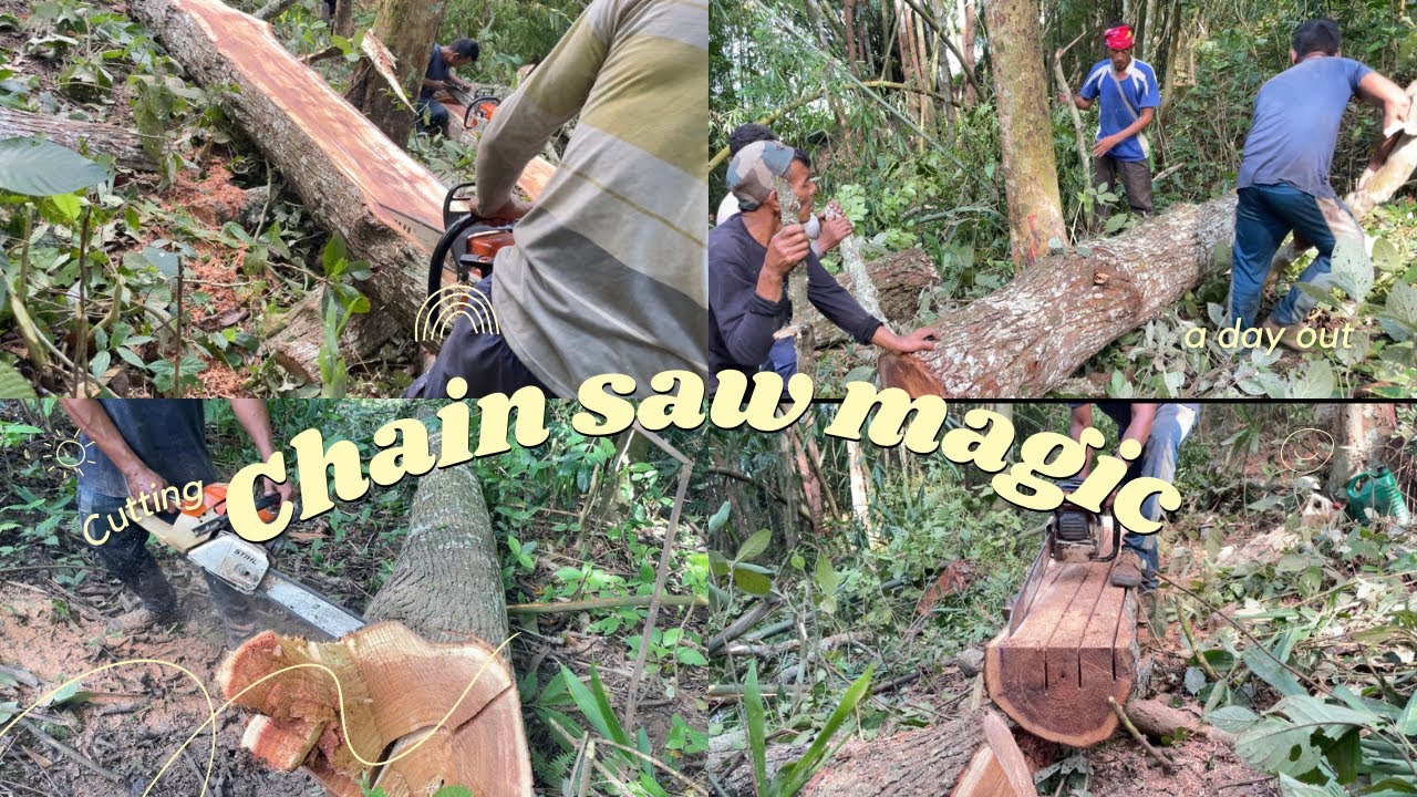 Amazing Skill of Chain saw Magic. Log cutting technique - YouTube