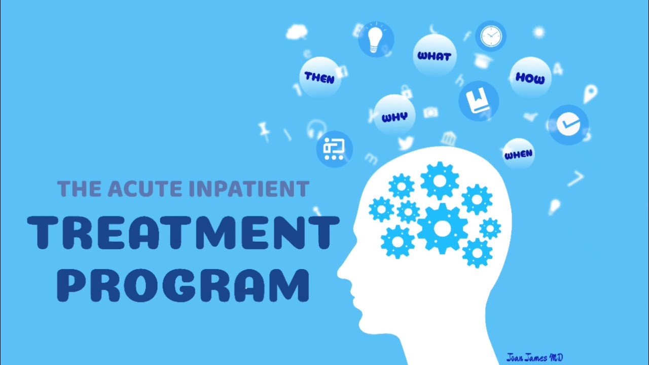 The Acute Inpatient Treatment Program. Section One (Part A Final Draft ...