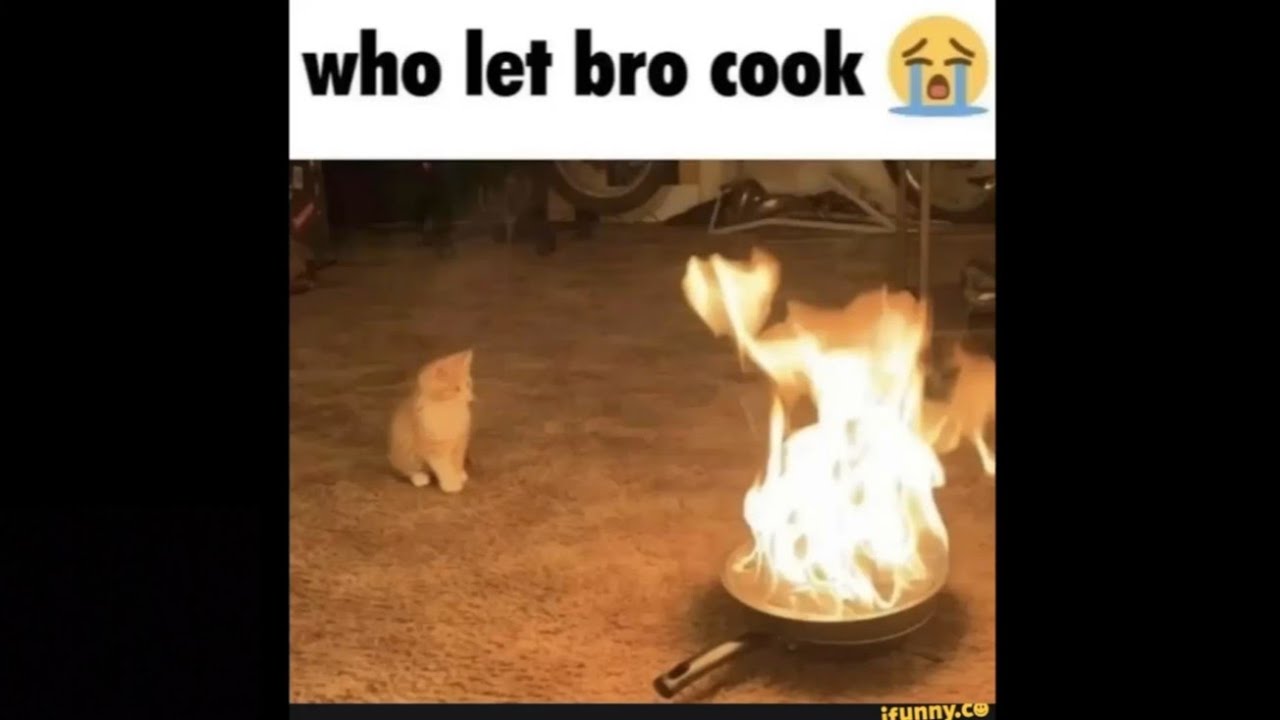 Holluplet Him Cook Youtube