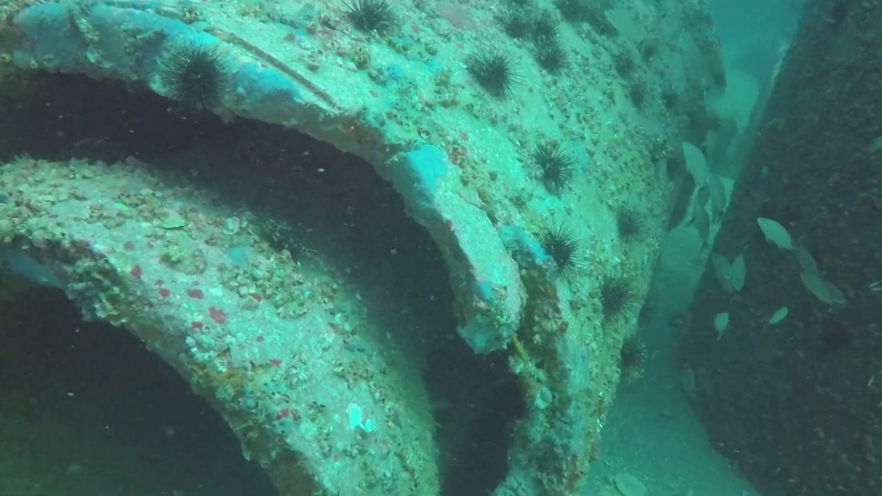 Macks Reef Dive Pt 2 - YouTube
