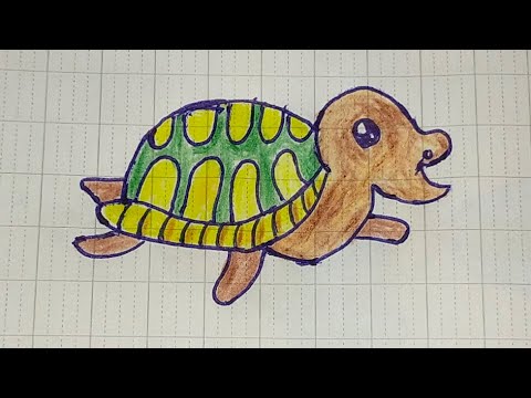How To Draw Tortoise Step by Step For Beginners Very Easy Tortoise ...
