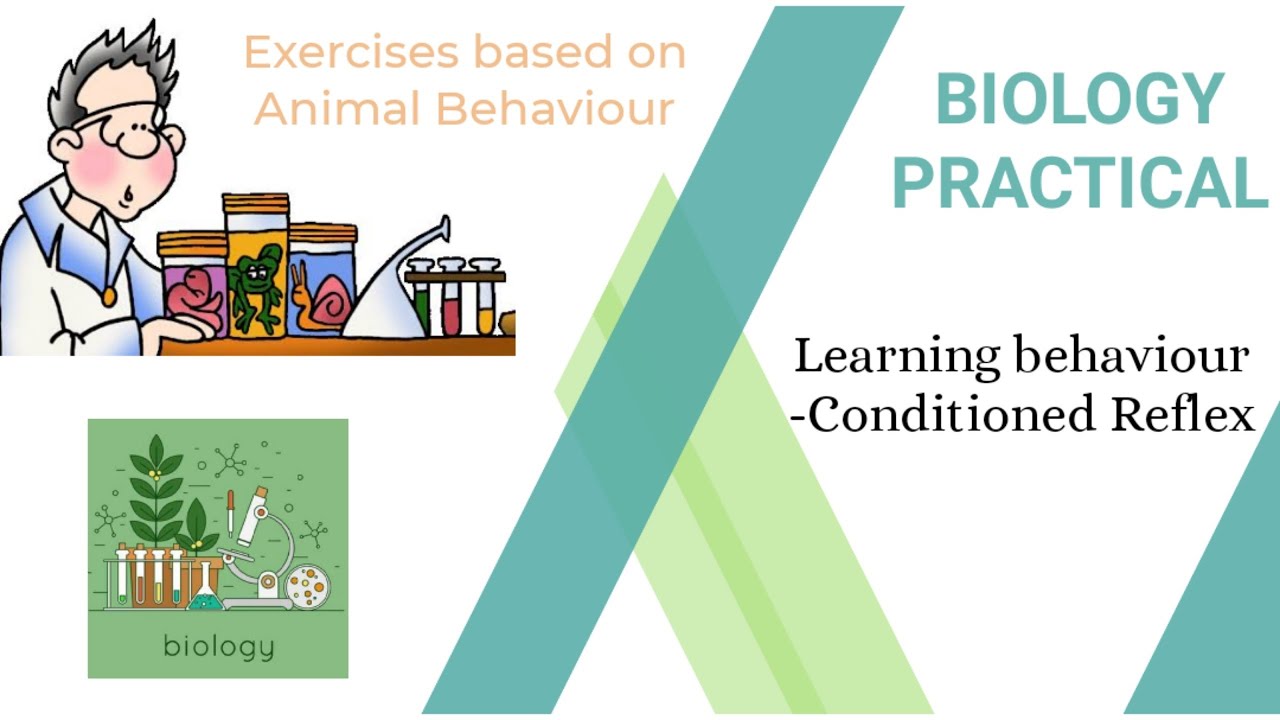 Exercise-6 Study of Learning Behavior (Conditioned Reflex) - YouTube