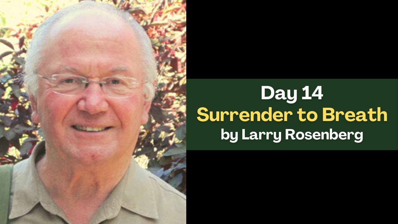 Day 14 -Surrender to Breath by Larry Rosenberg - YouTube