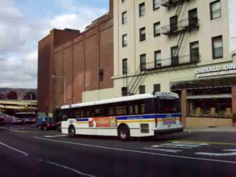 Bee Line Buses of Westchester County Orion 05.501 #479 (Not In Service ...