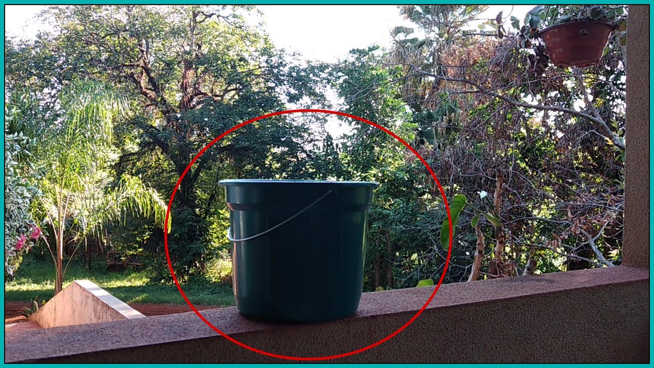 FILMEI ESTE BALDE POR 3 MINUTOS | I FILMED THIS BUCKET FOR 3 MINUTES ...