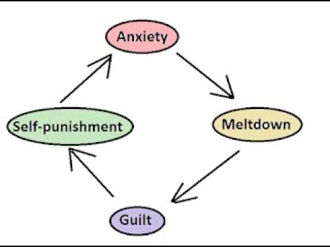 Avoiding the Cycle of Meltdowns & Shutdowns: Excerpt from the ASD "Men ...