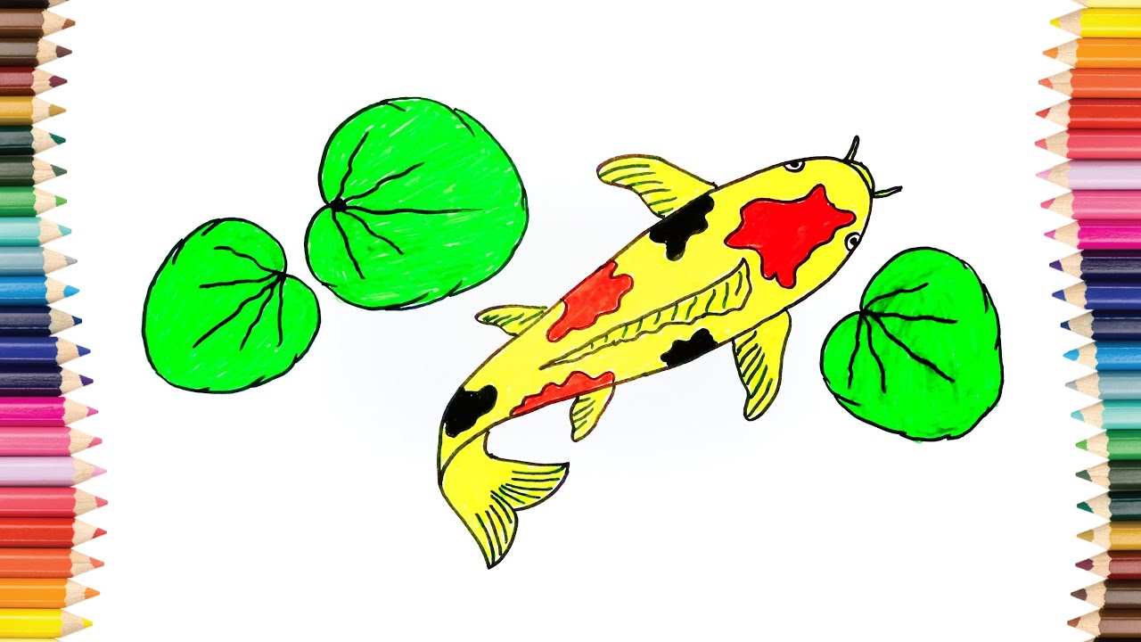 how to draw koi fish || Menggambar ikan koi || Ikan koi - YouTube