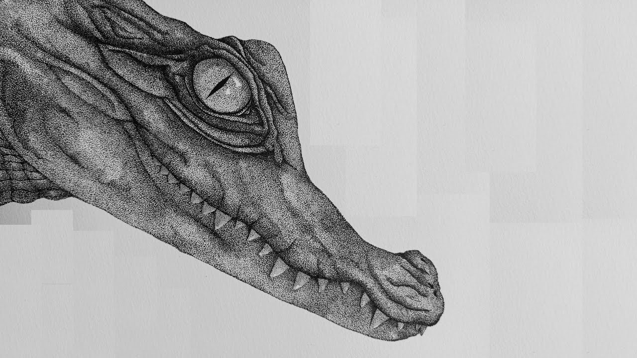 ALLIGATOR : STIPPLING ART - YouTube