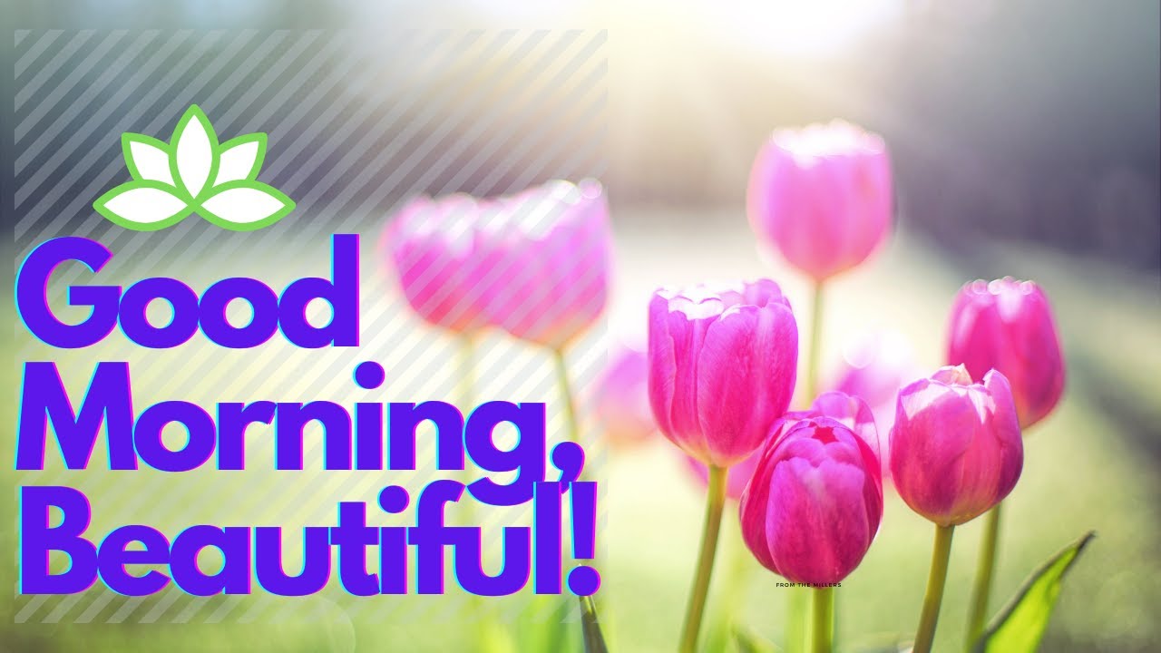 Relaxing Morning Music | Beautiful Relaxing Piano Music For Stress ...