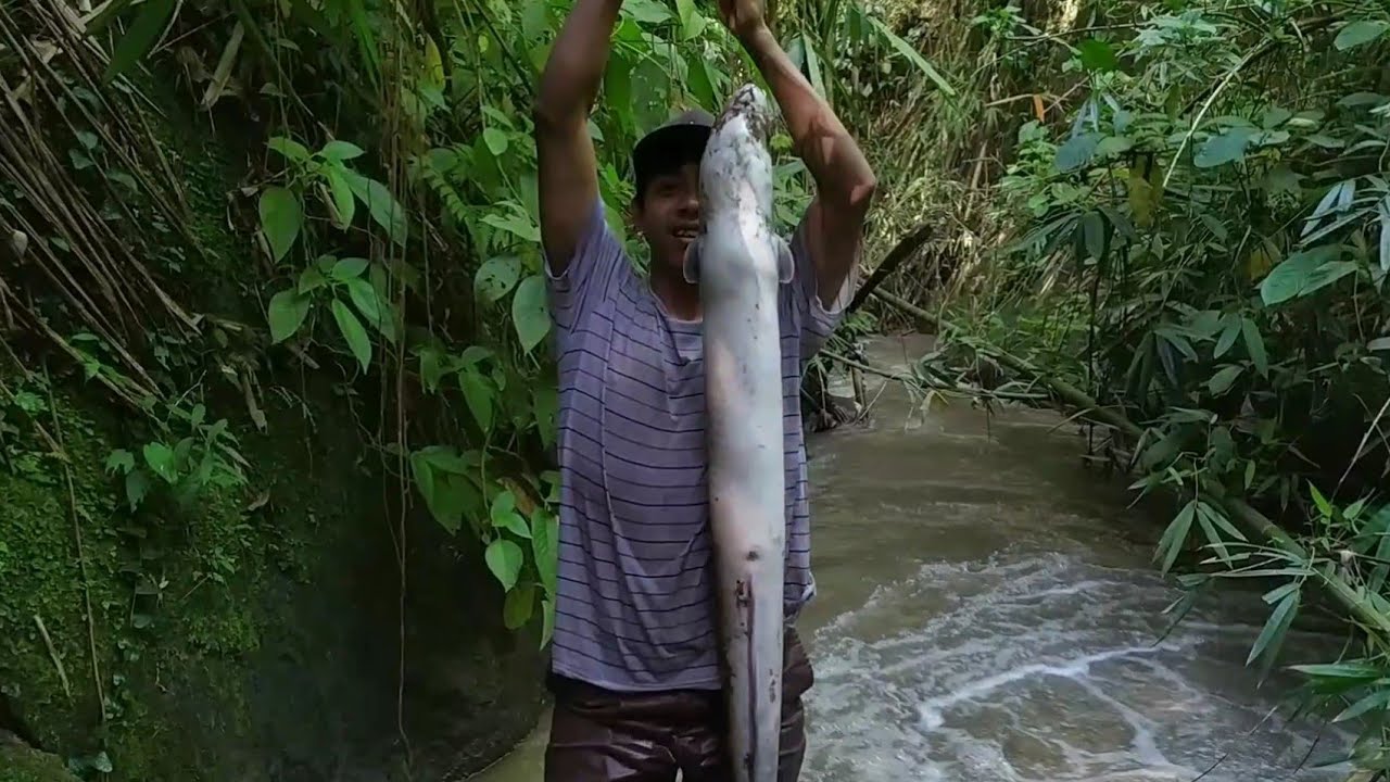 MANCING SIDAT TENIK NAJUR.NGERI TARIKAN SIDAT RASAKSA SUPER BESAR ...