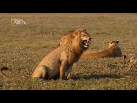 MI REACCIÓN AL VER QUE RAYDON XD Y SUS FANBOYS ARDIDOS ME BORRARÁN EL VIDEO