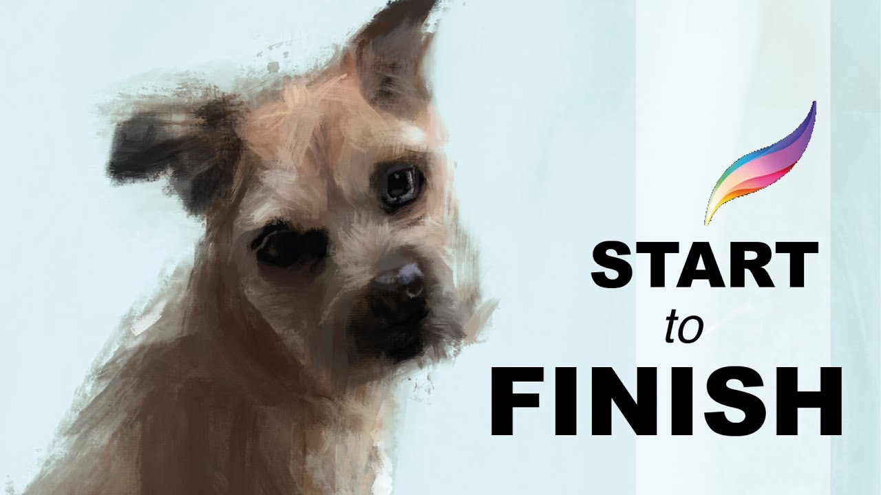 Paint Like A FINE ARTIST In Procreate. Border Terrier Procreate Dog ...