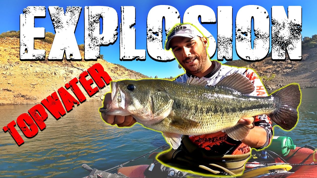 Explosión TOPWATER *PESCA DEL BASS en SUPERFICIE* - YouTube