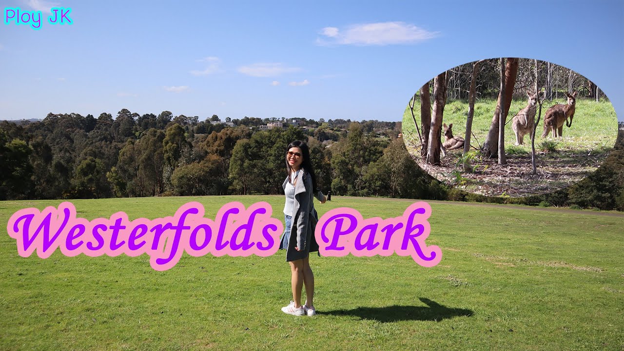 Westerfolds Park Melbourne Australia l see Kangaroos l ดูจิงโจ้ เที่ยว ...