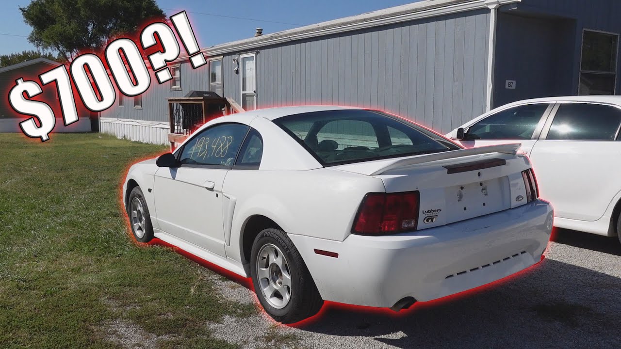 CHEAPEST MUSTANG GT ON THE MARKET!! BEST ACCIDENT BUY EVER! - YouTube