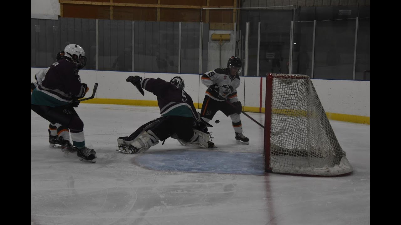 #5 Anthony Falzone Dells Ducks | Save Compilation | 11/10/23 - YouTube