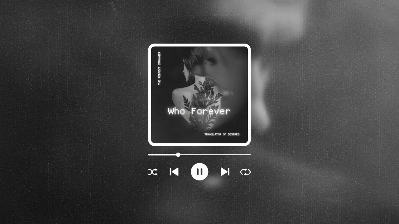 The Perfect Stranger - Who Forever (Translator of Desires) - YouTube