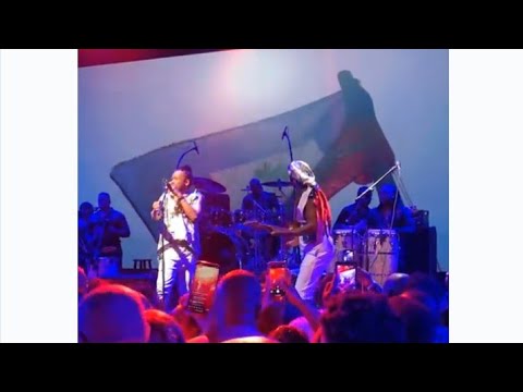 ZAFEM LIVE ALBUM GRANDE PREMIÈRE 🔥🔥🔥 - YouTube