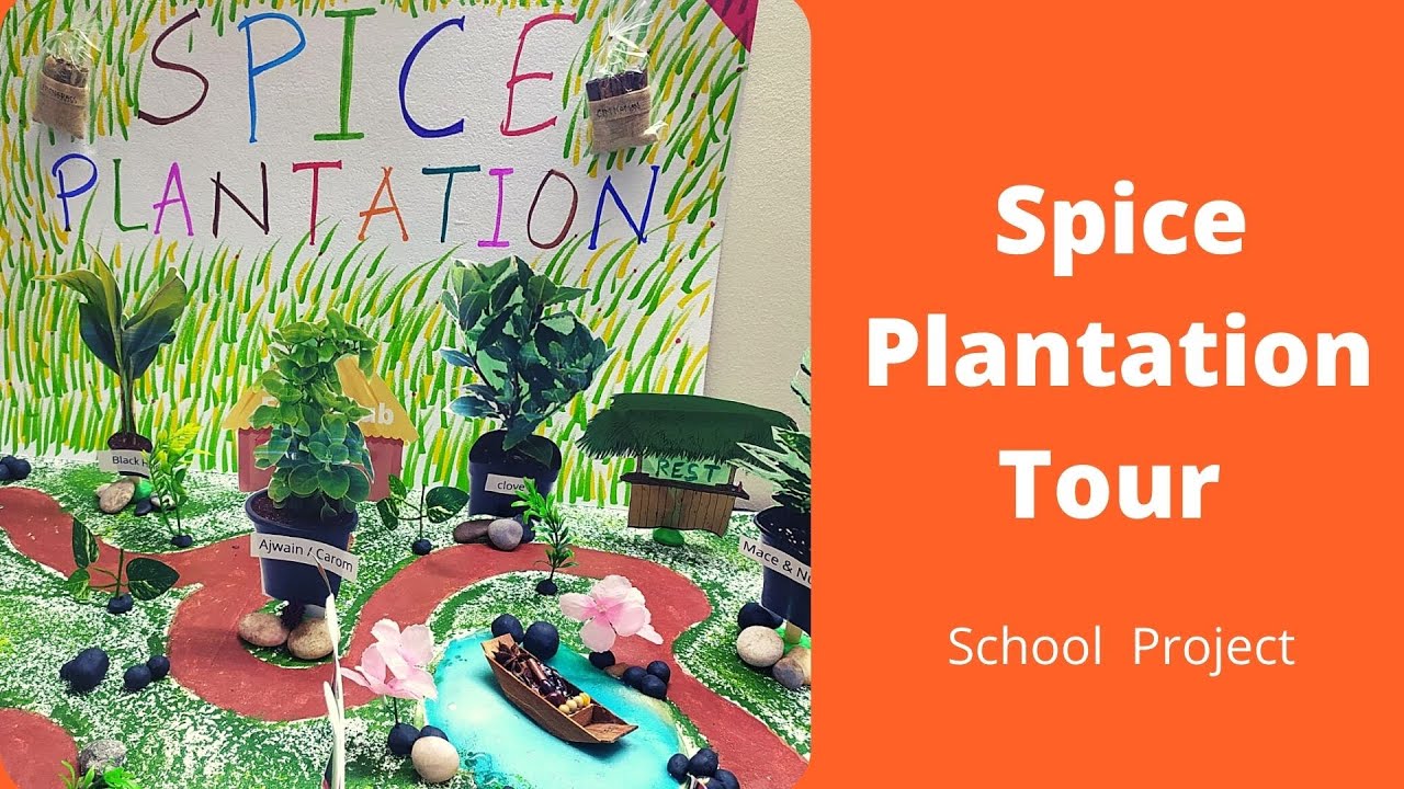 School Projects | Spice Plantation Project | `Projects for school ...