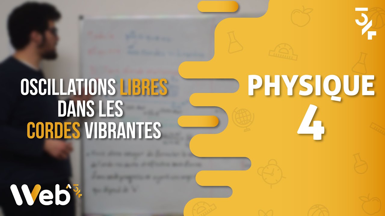 Physique des Ondes - Les Cordes Vibrantes (vidéo 10) - Oscillations ...
